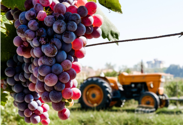 關於穆迪 – 穆迪貿易有限公司